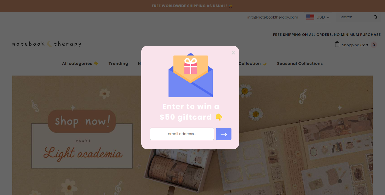 19 Popular Dropshipping Stores for Inspiration in 2022