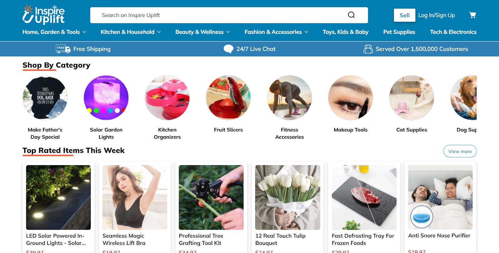 19 Popular Dropshipping Stores for Inspiration in 2022